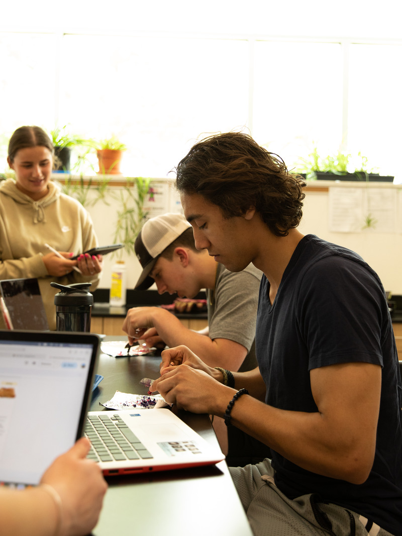 Department of Education | Education